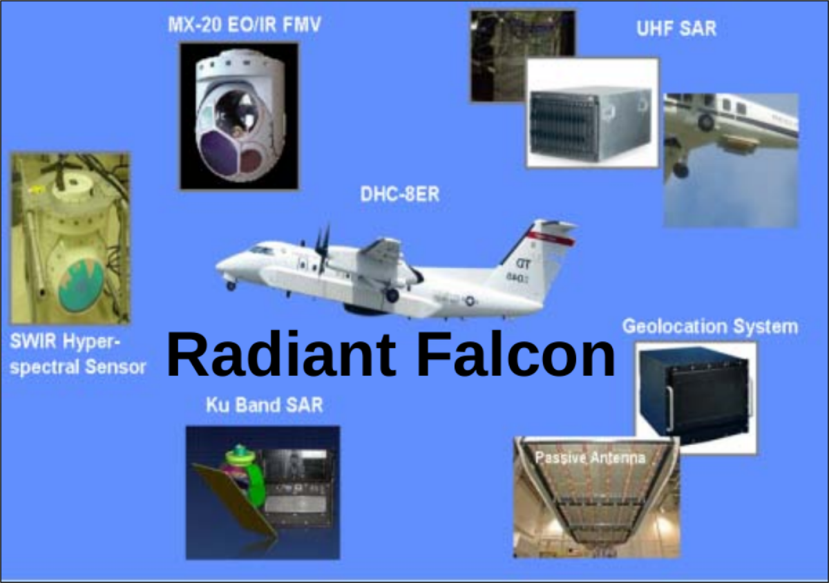 The Radiant Falcon | engelsjk